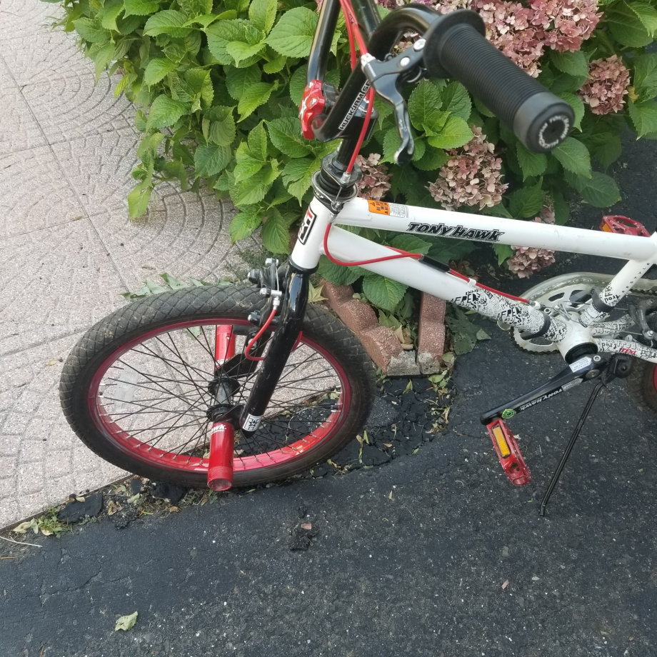 Tony Hawk 20\" Freestyle bike 자전거 팝니다.