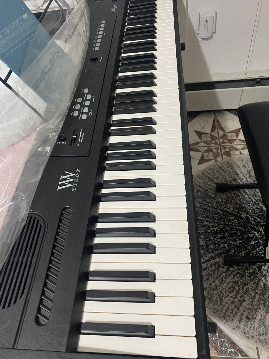 88 keyboard with stand bench pedal(Williams)